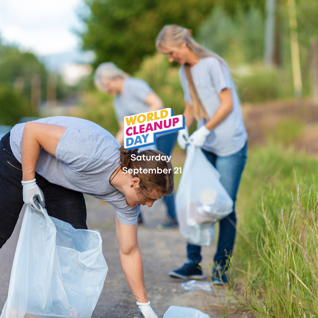 World Cleanup Day